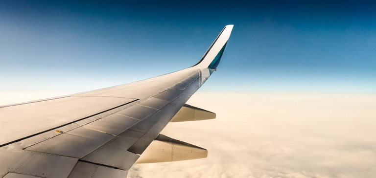 What are the similarities between aircraft and birds? | Grupo One Air